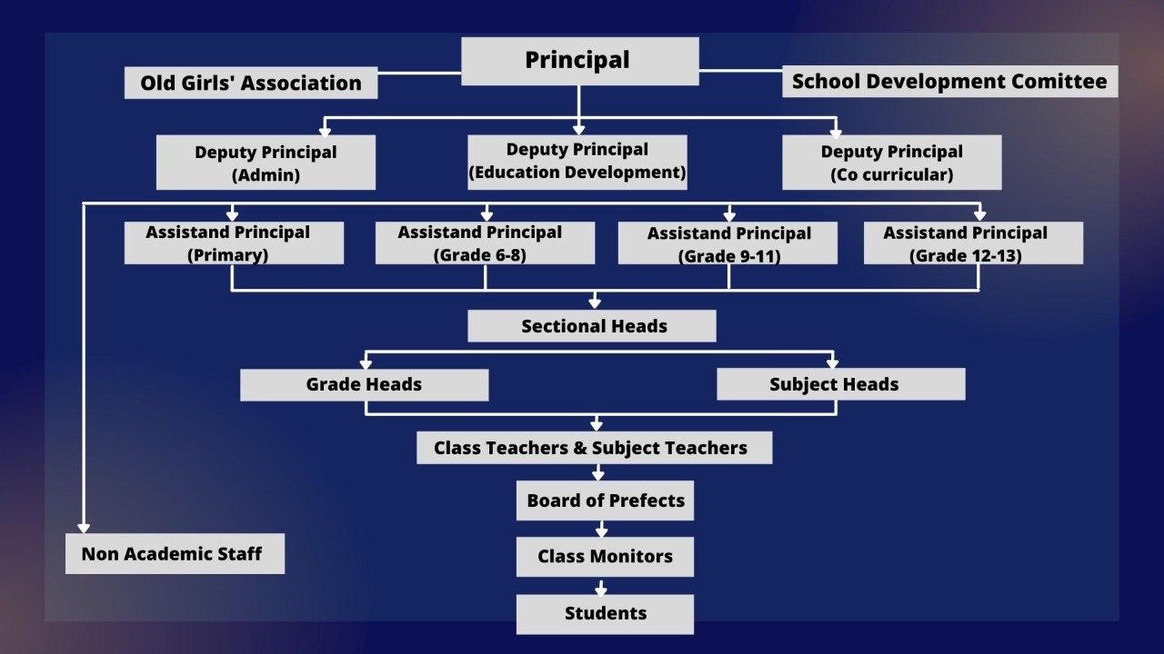 Administration – Mahamaya